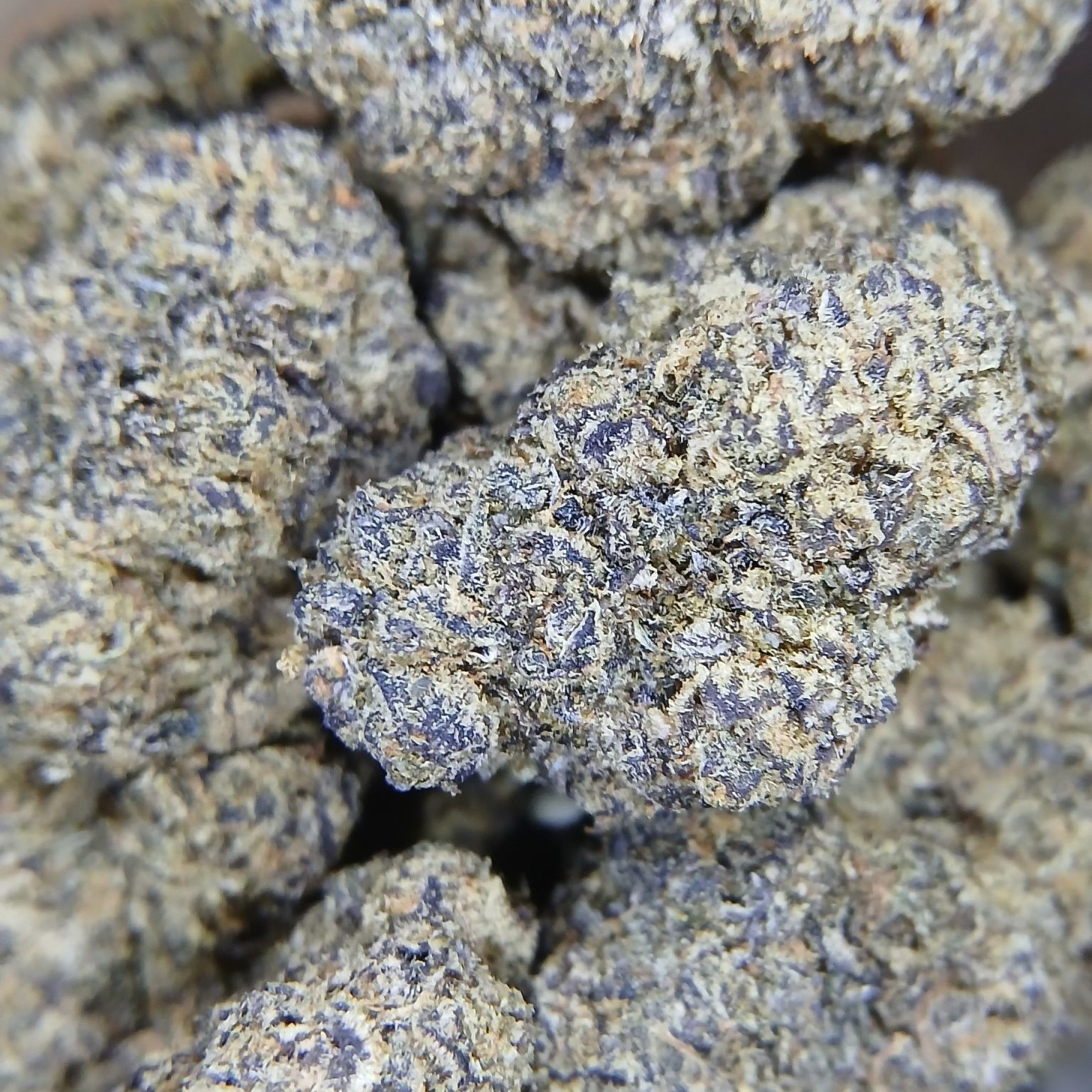Flower and Pre-Rolls – Soil Co